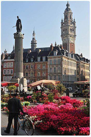 Lille: Guida ed Informazioni per visitare Lille