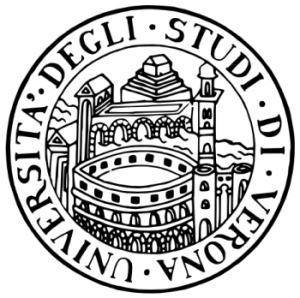 Università a Verona